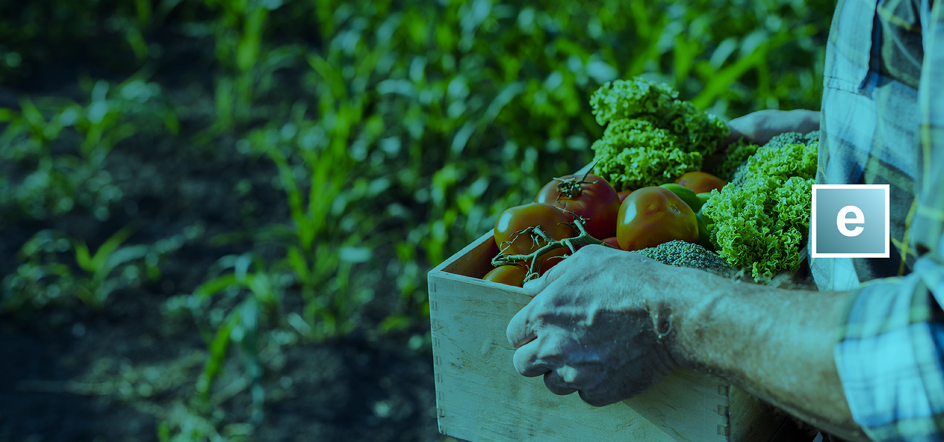 Curso - ESG Agro - Fundação Dom Cabral